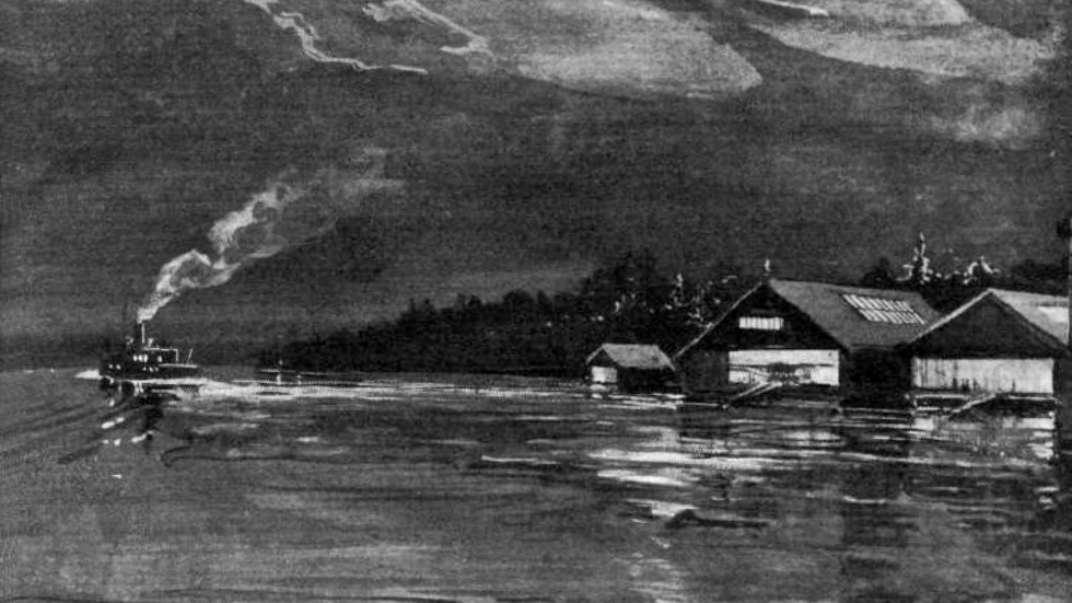 Art Gallery - Waterbird Org