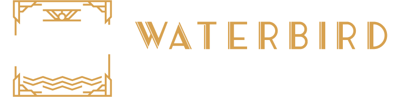 Waterbird | Windermere: Birthplace of British Naval and Civil Marine ...